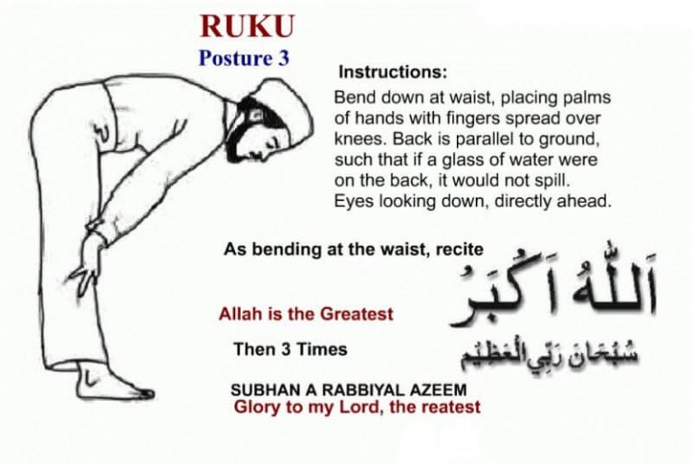How To Pray Namaz Namaz With Translation And Posture Jeet News